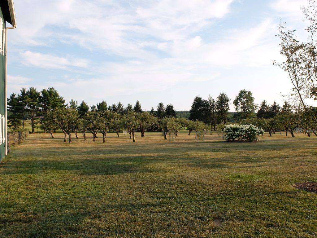 Emily and Johan Firmenich Steward the Future | D&R Greenway
