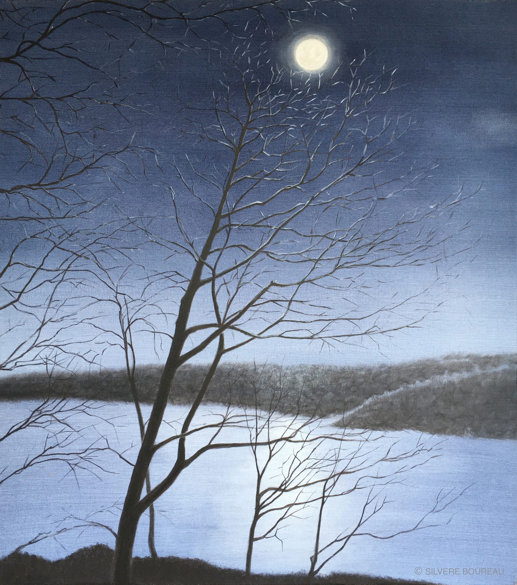 Full moon on frozen lake | D&R Greenway