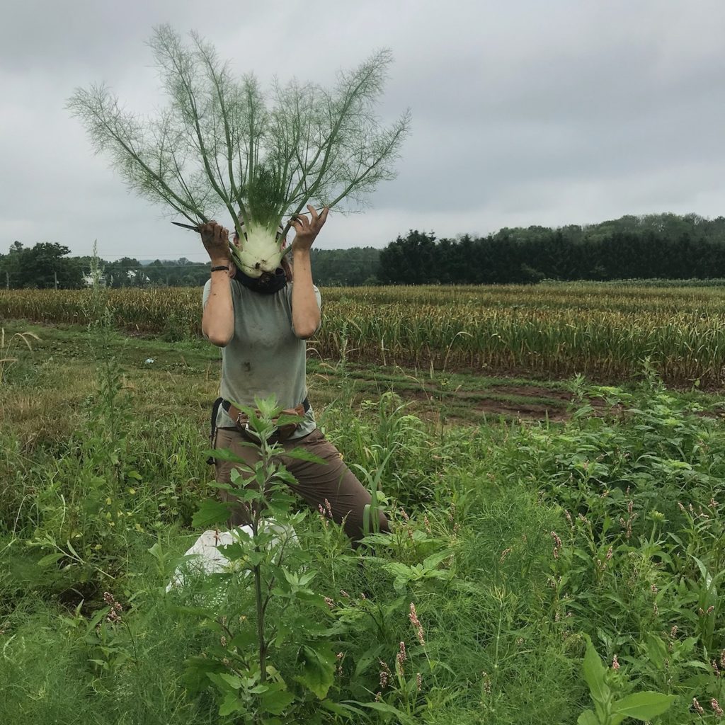 Our Team | D&R Greenway